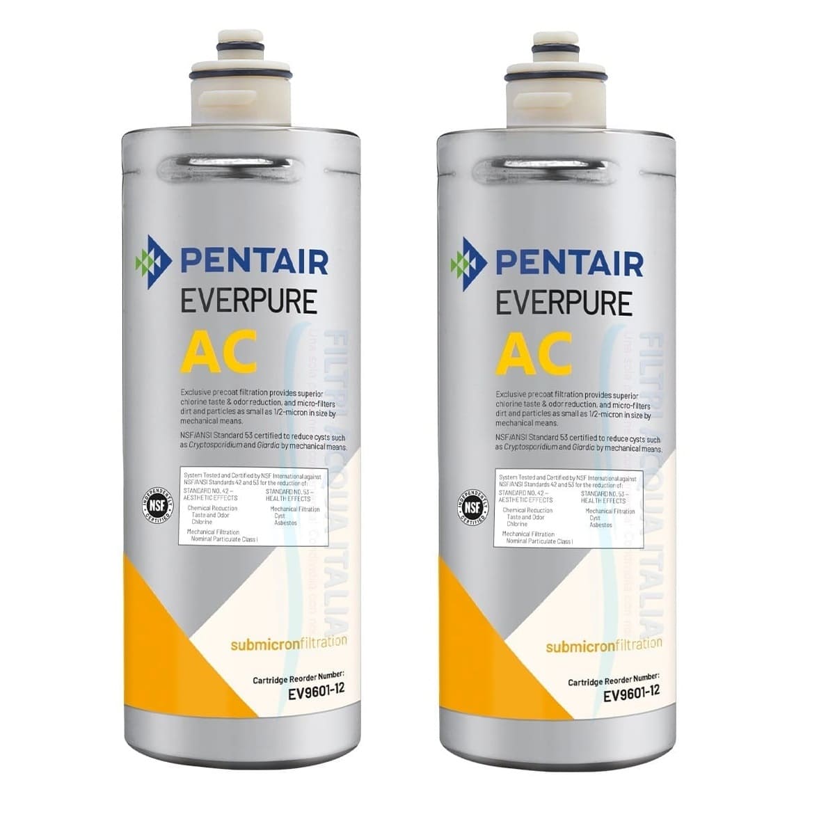 Filtri Everpure 4C, AC, 4DC, 2DC e S100 | Filtri Acqua Italia